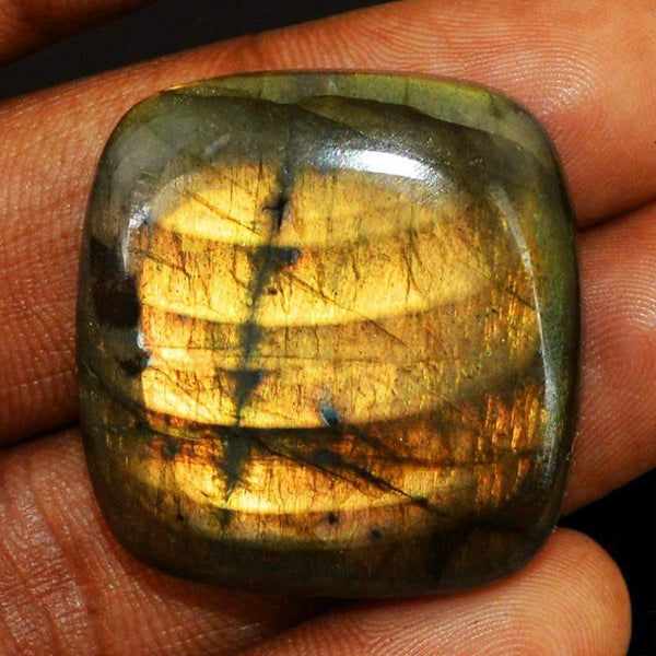 yellow eye with flash