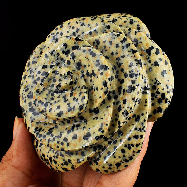 Natural 965.00 Carats Genuine Dalmation Jasper Hand Carved Crystal Ros