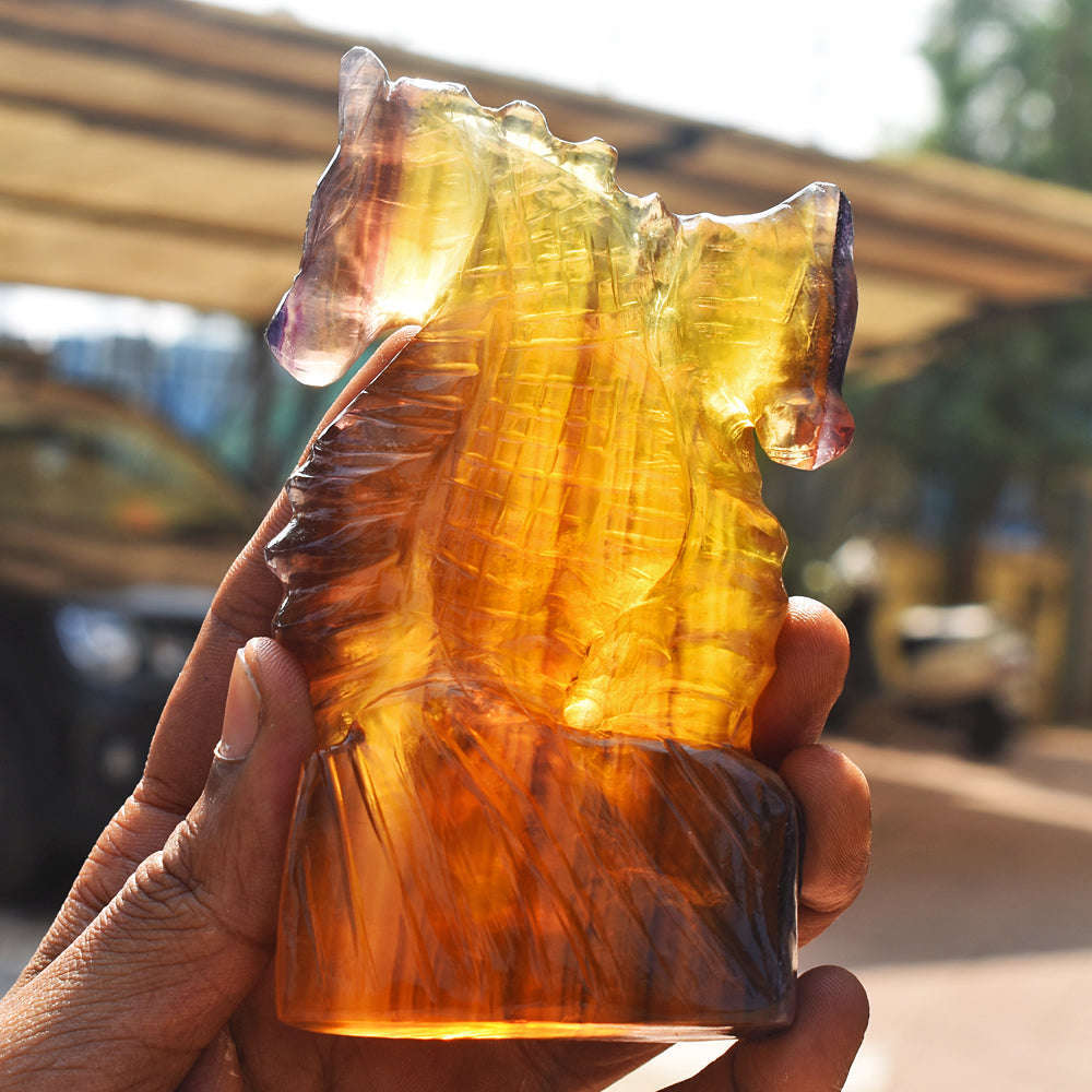 Genuine Multicolor Fluorite Hand Carved Gemstone Carving Seahorse