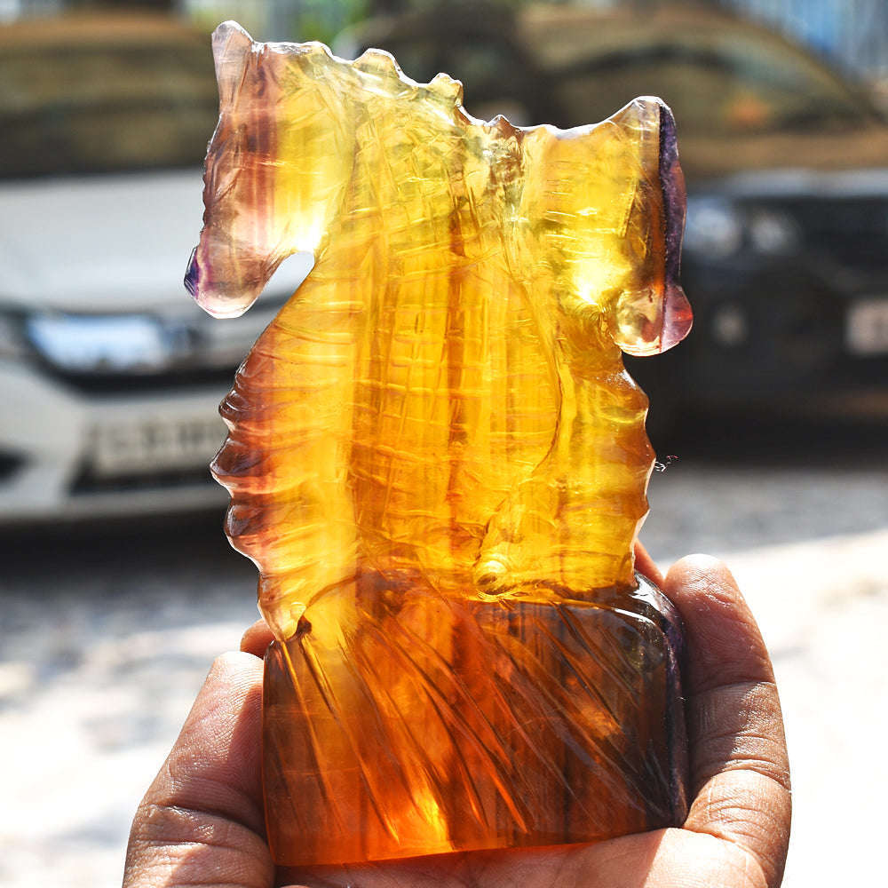 Genuine Multicolor Fluorite Hand Carved Gemstone Carving Seahorse
