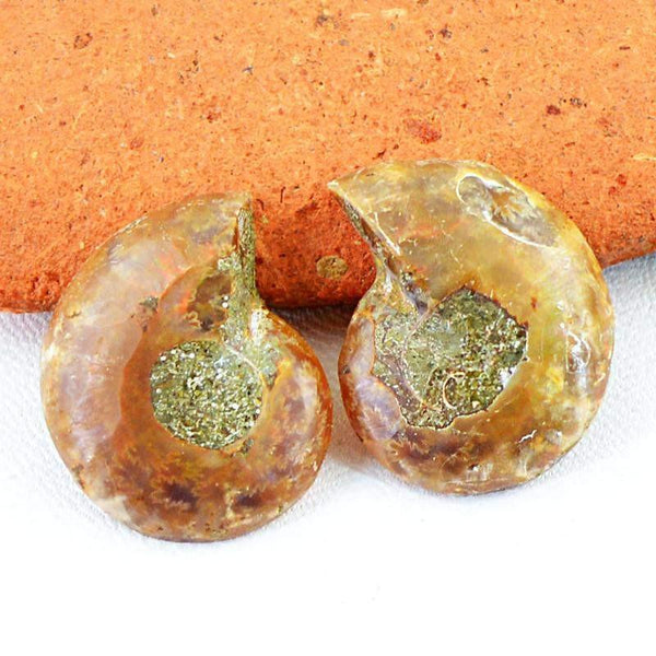 Natural Ammonite Loose Gemstone Pair
